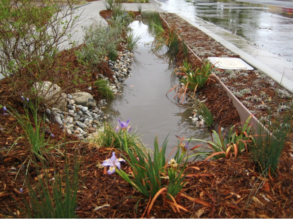 Behind the scenes of LA’s most ambitious water resiliency effort: The ...