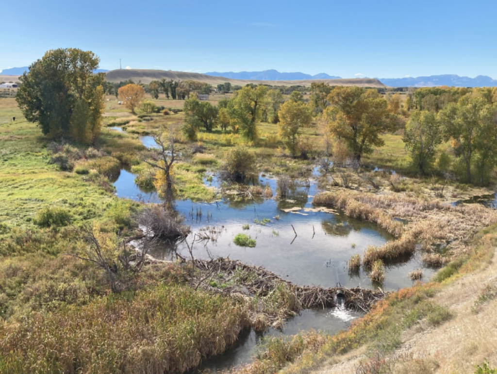 Mapping Beaver Conflicts: A Step Toward Coexistence— Xiaofan Shen ...